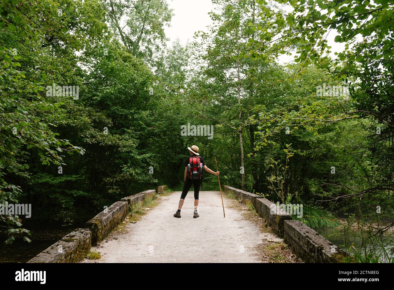 Back view of relaxed tourist with backpack and wooden stick standing on ...