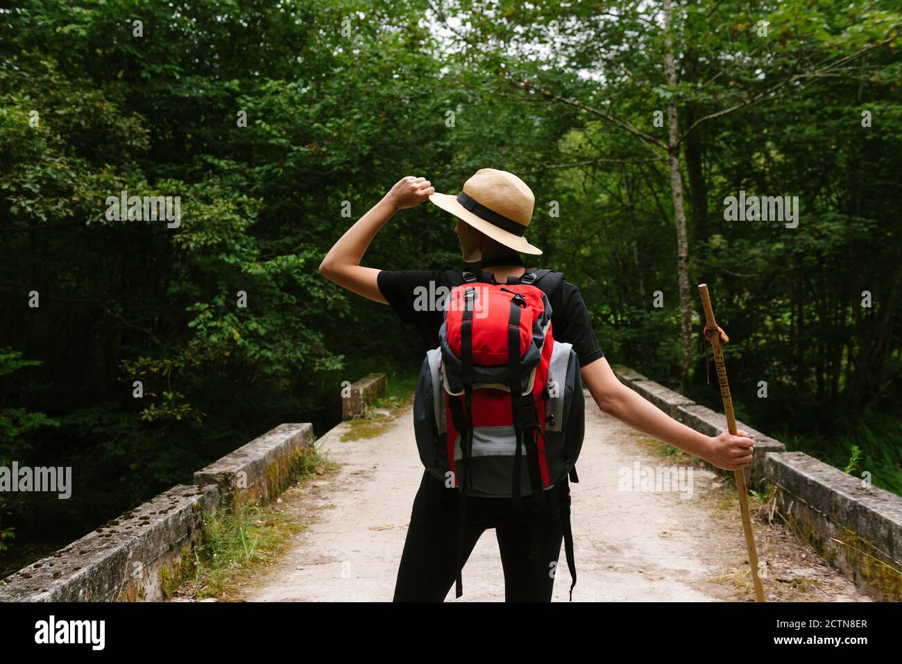 Back view of relaxed tourist with backpack and wooden stick standing on ...