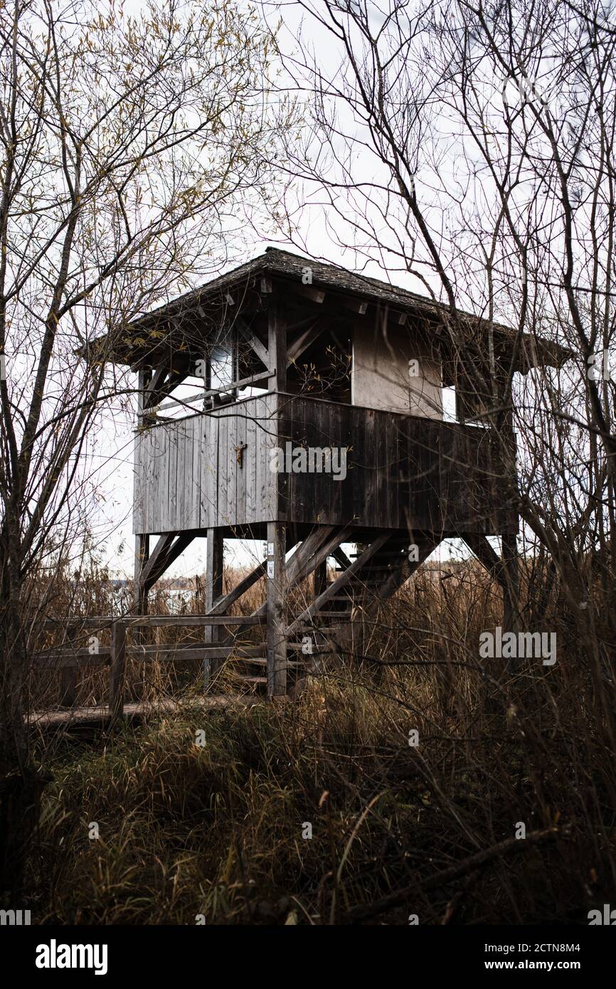 Low angle of small aged lumber shed on stilts located among leafless ...
