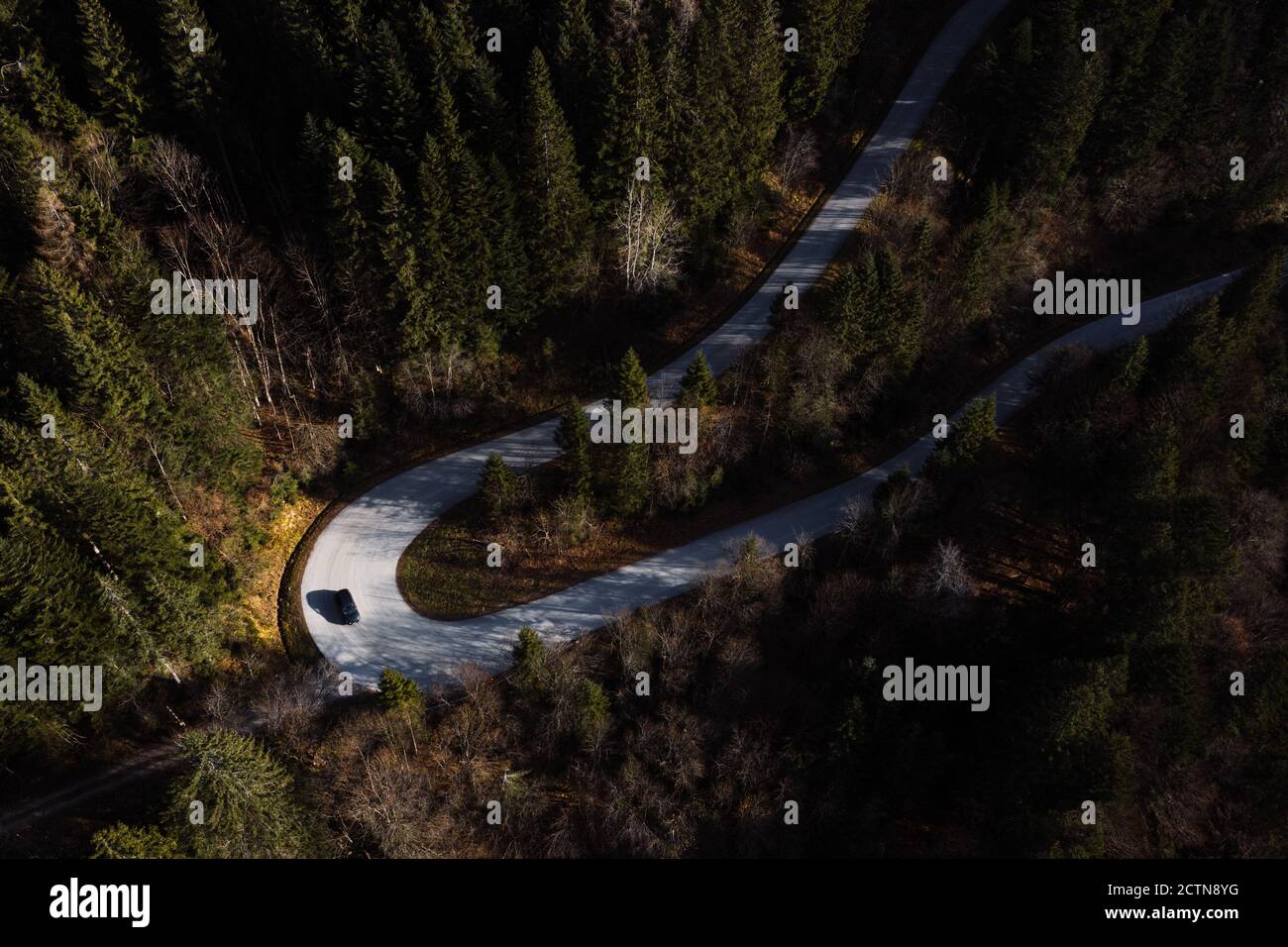 From above aerial view of lonely car on curvy asphalt roadway running ...