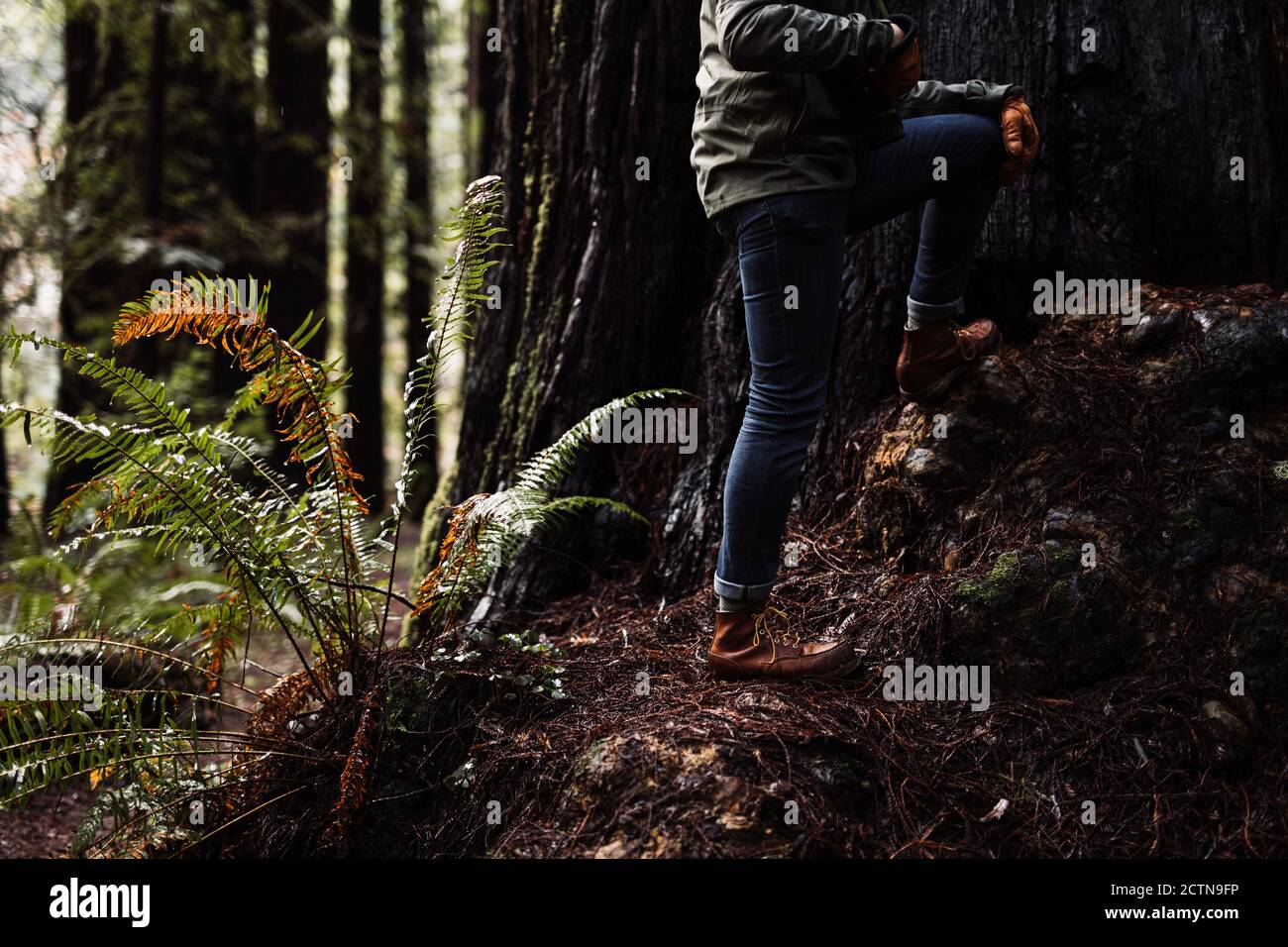 Plant Explorer High Resolution Stock Photography and Images - Alamy