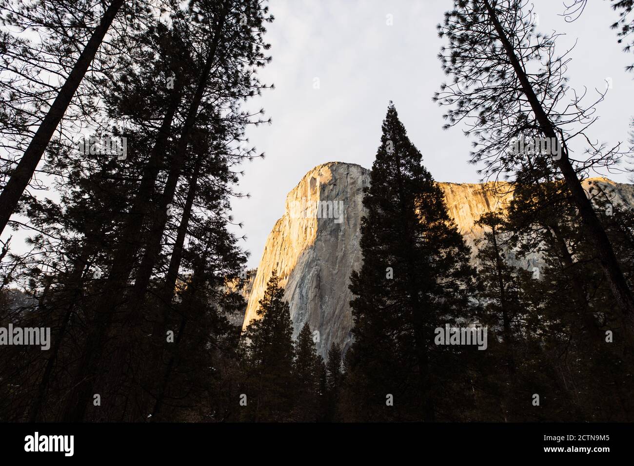 Low angle of majestic mountain range with rough surface in front of ...