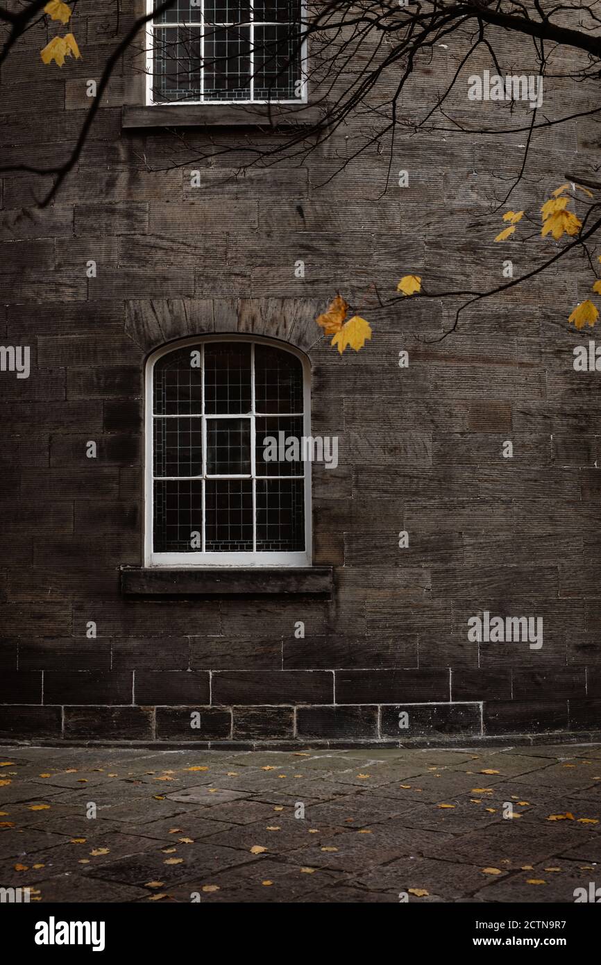 Detail of exterior of shabby residential building in autumn on street ...