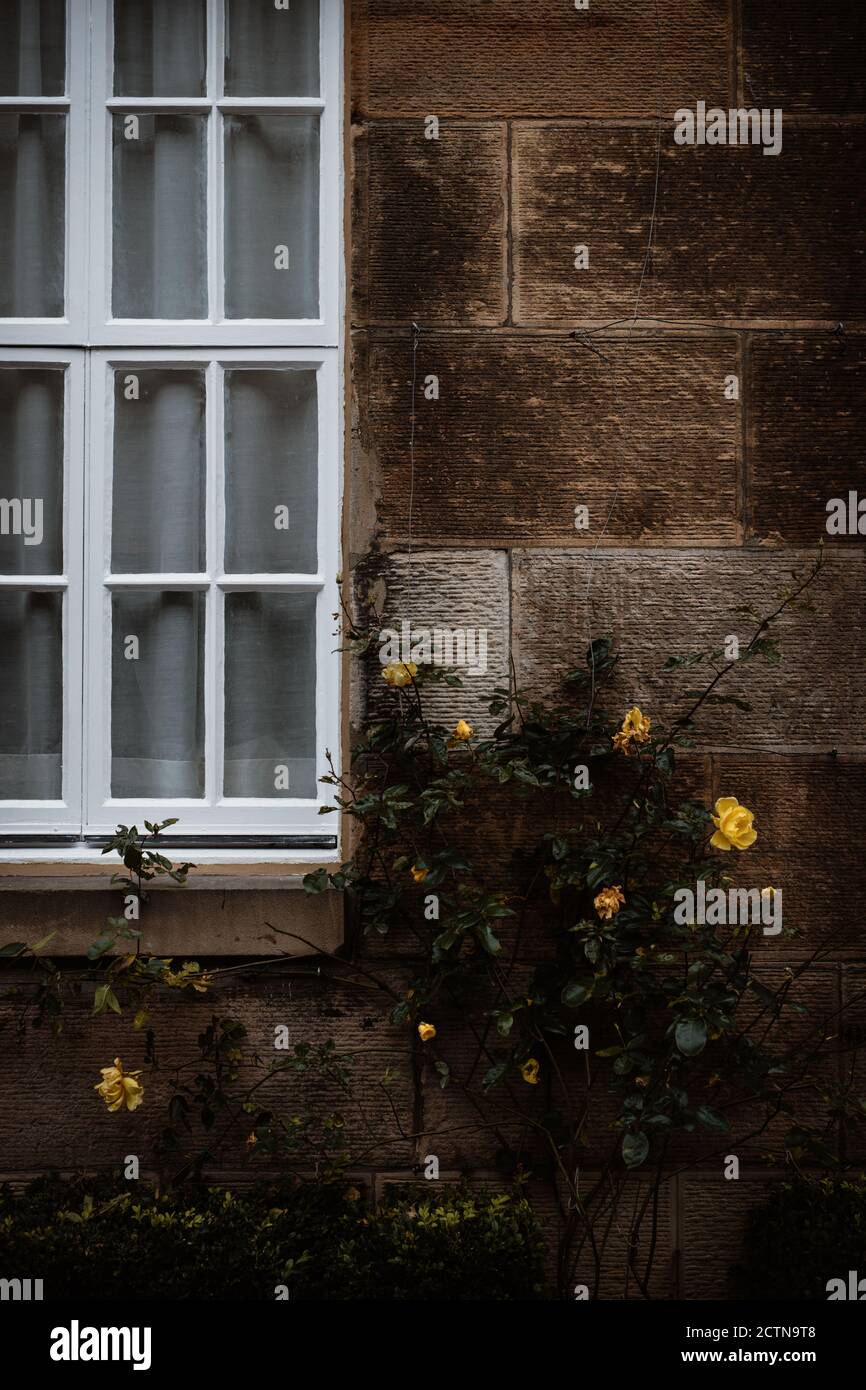 Detail of exterior of shabby residential building in autumn on street ...