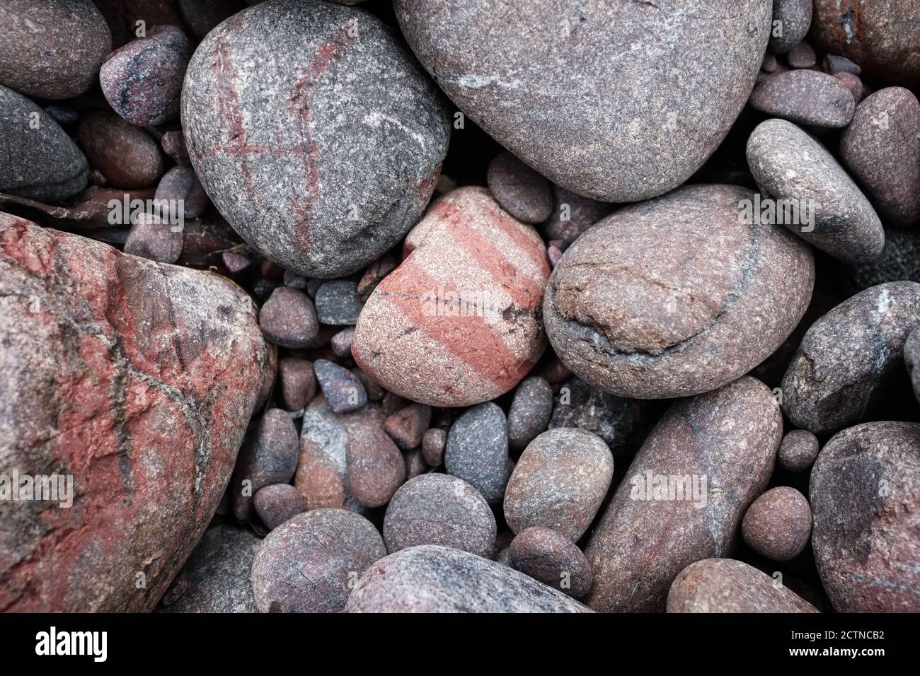 Colourful, striped pebbles on a beach in Cornwall Stock Photo - Alamy
