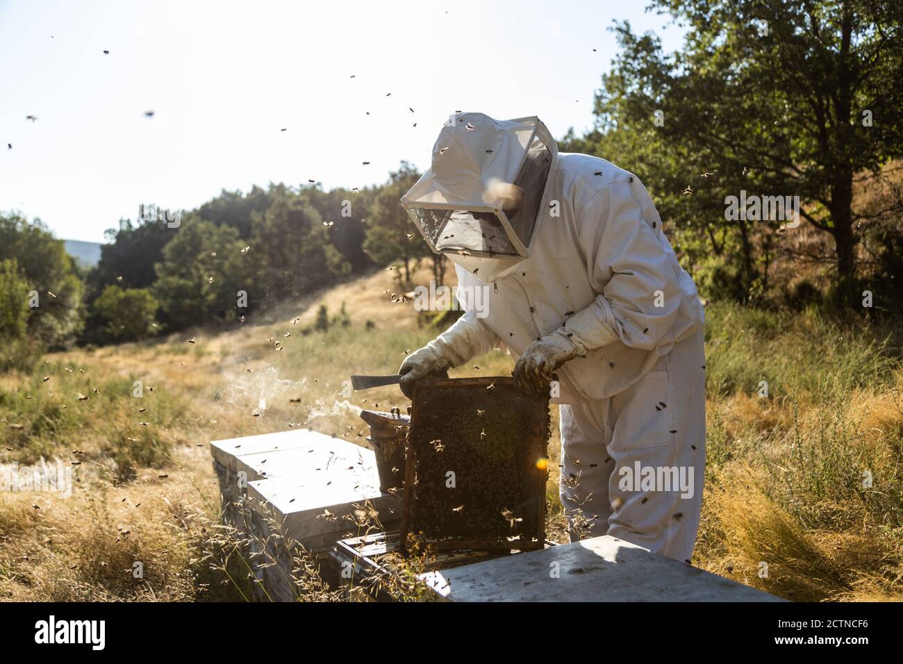 Fumigating hi-res stock photography and images - Alamy