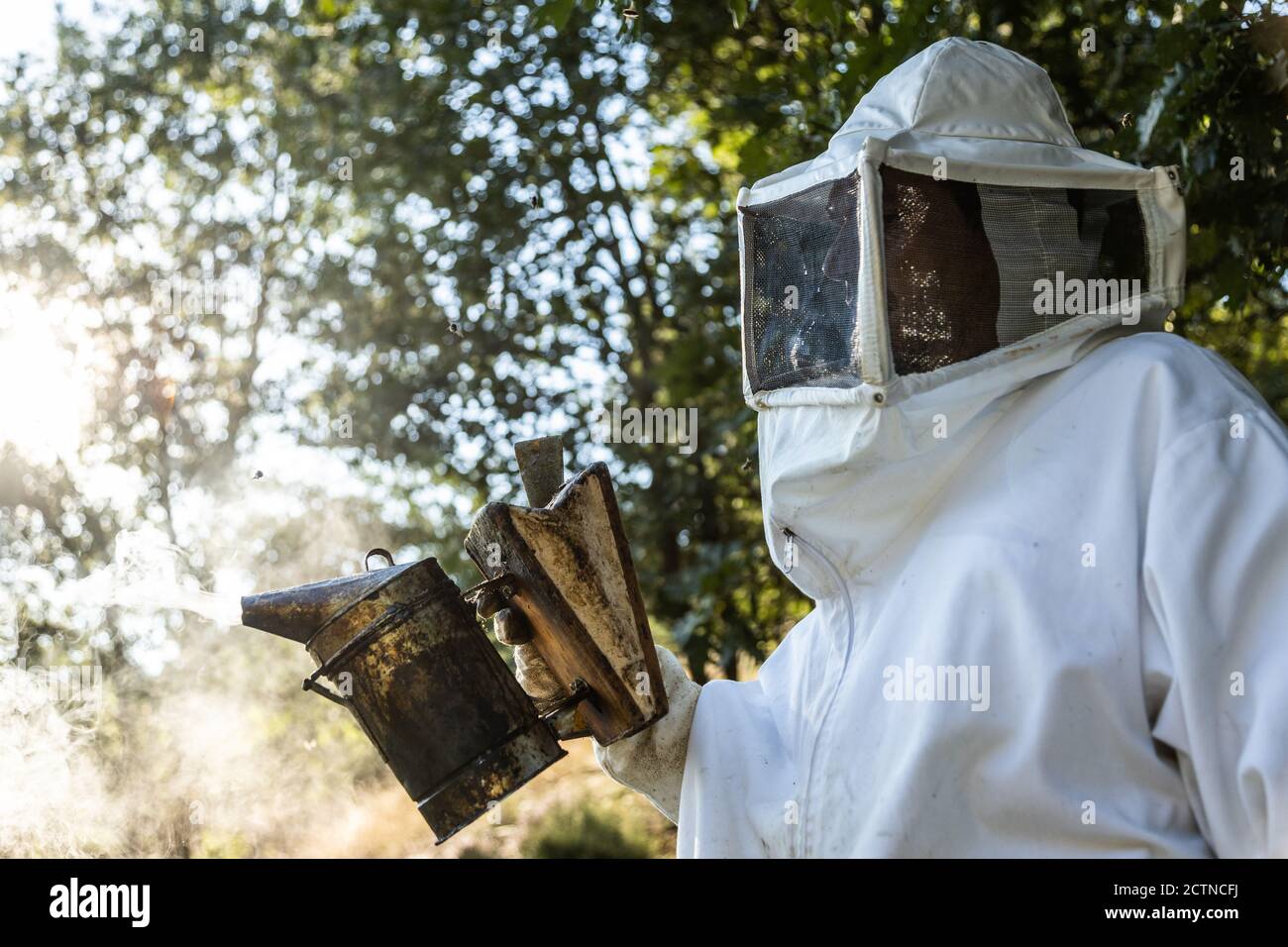 Fumigating hi-res stock photography and images - Alamy