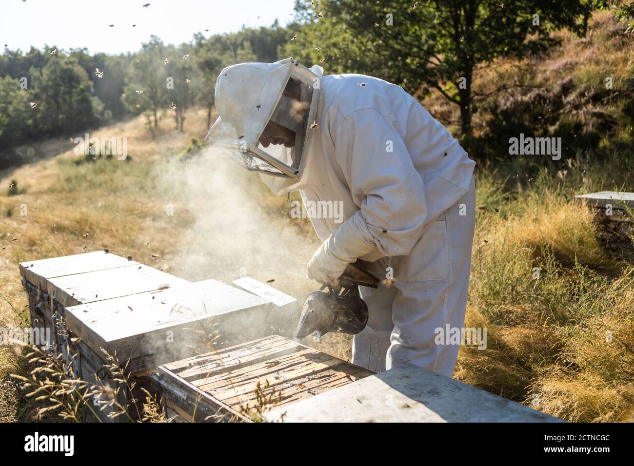 Fumigating hi-res stock photography and images - Alamy