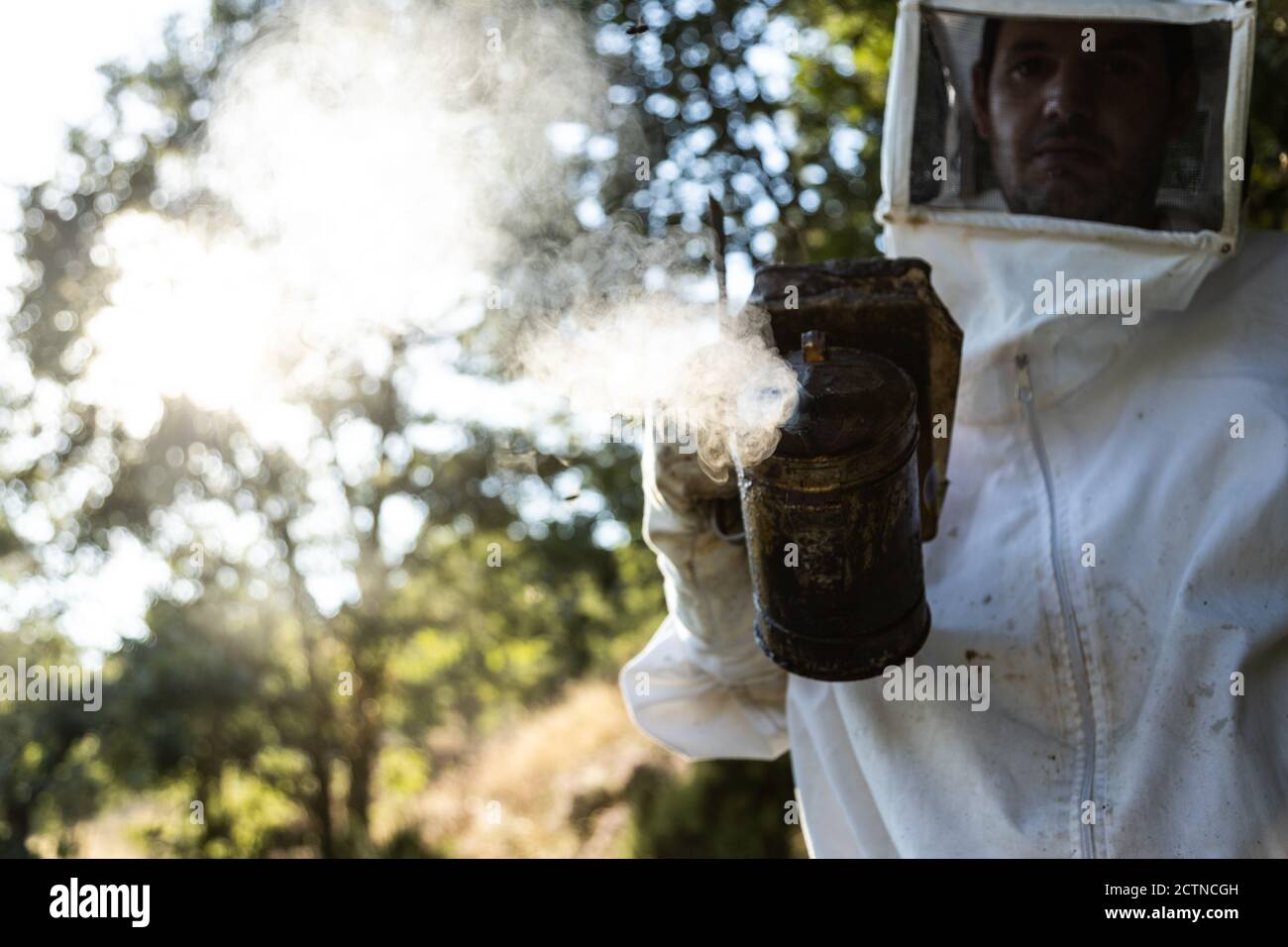 Walls and roof of luxury countryside house against blue overcast sky ...