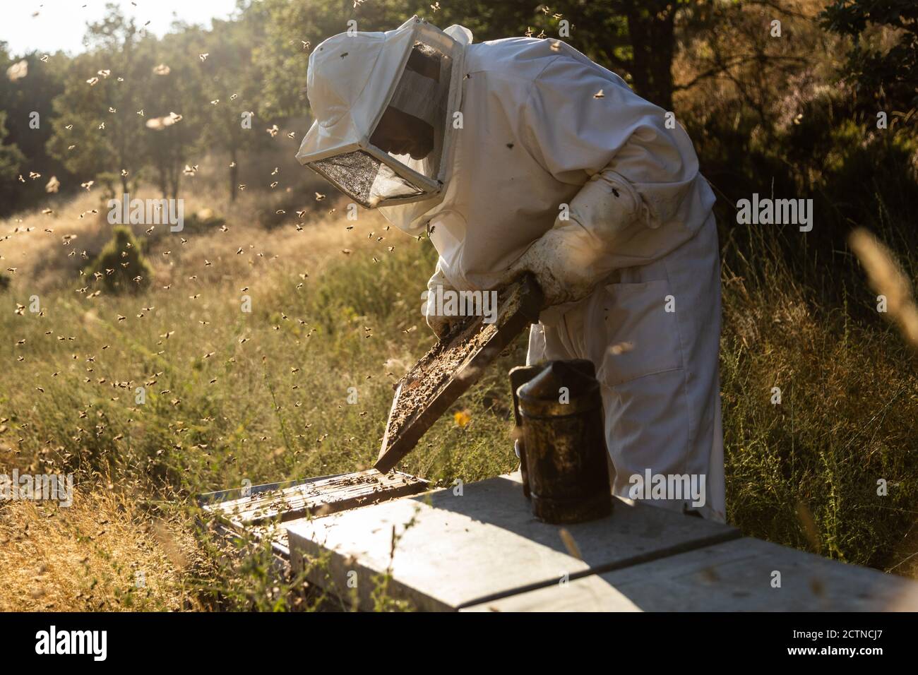 Fumigating hi-res stock photography and images - Alamy