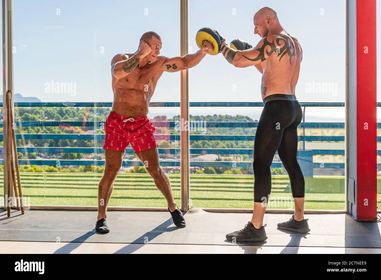 Side view of strong male boxer doing punches in boxing mitts put on ...