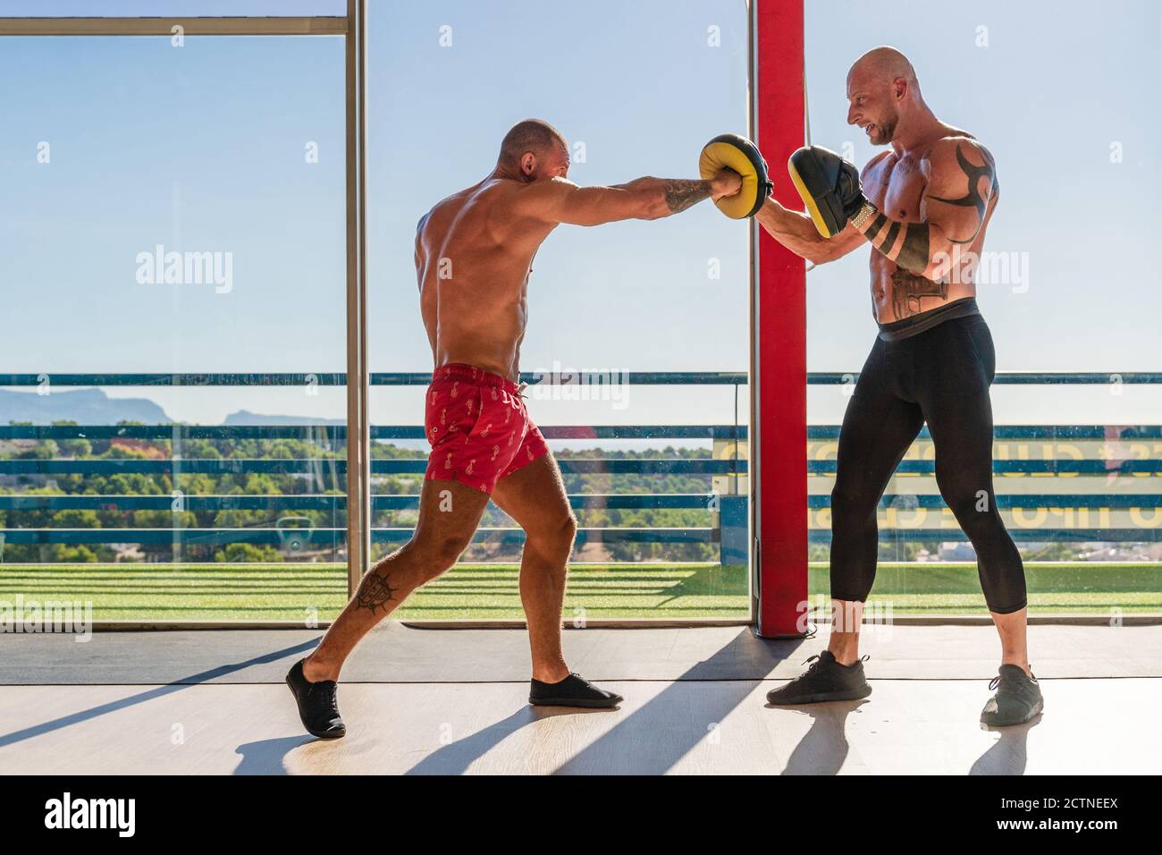 Side view of strong male boxer doing punches in boxing mitts put on ...