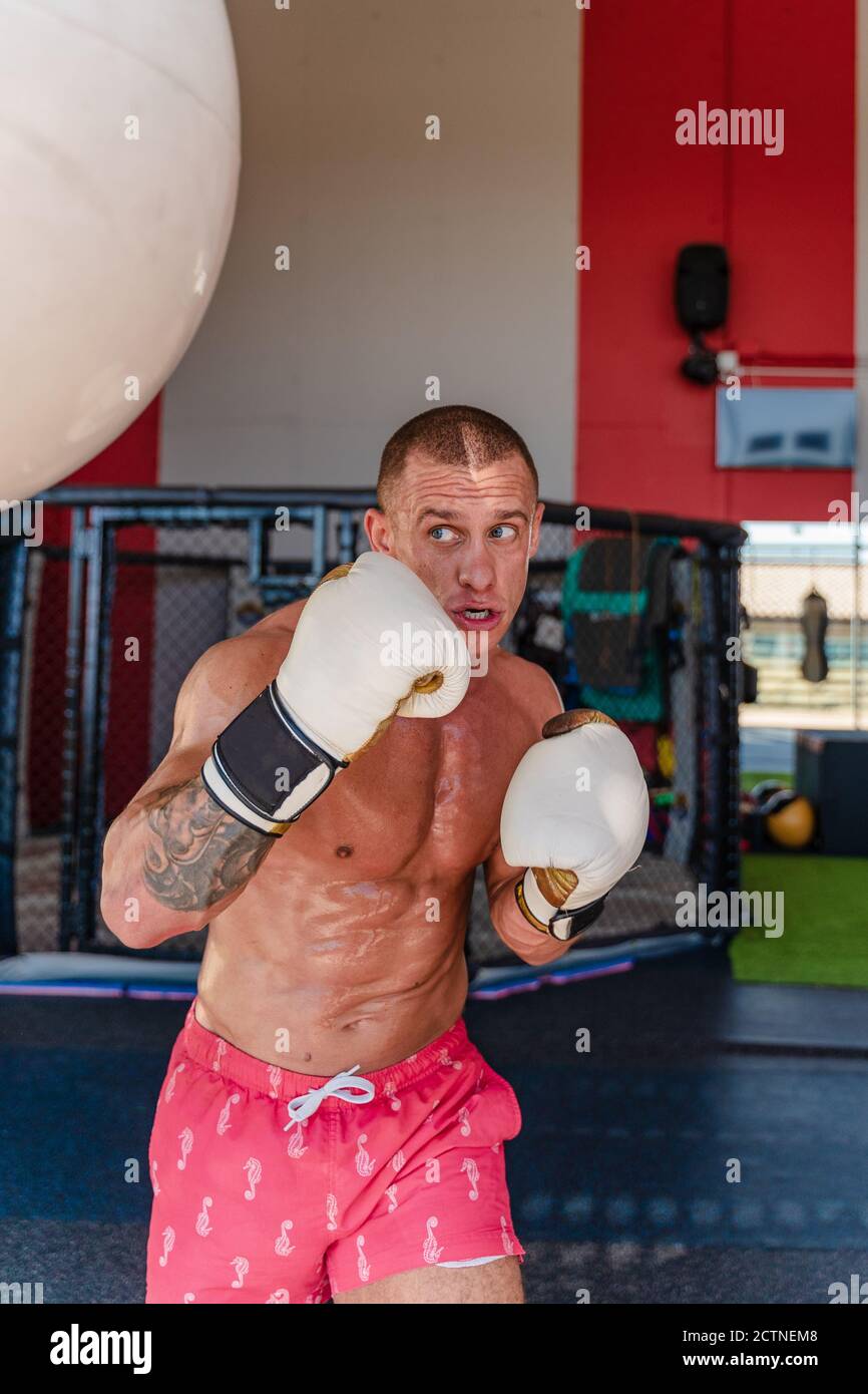 Punching bag workout hi-res stock photography and images - Alamy