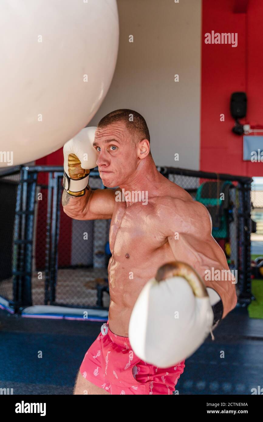Determined male boxer in boxing gloves punching heavy bag during ...