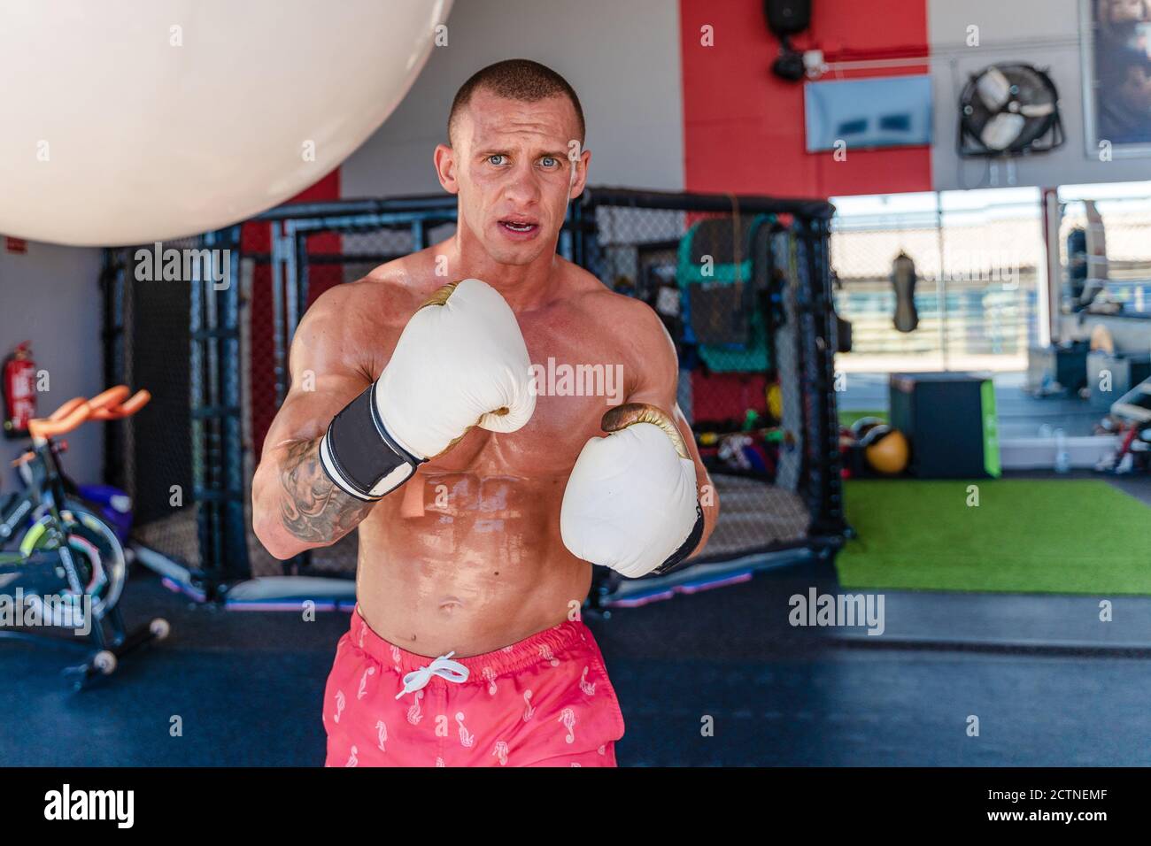 Determined male boxer in boxing gloves punching heavy bag during ...