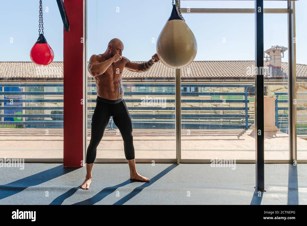 Side view of determined male boxer in boxing gloves punching heavy bag ...