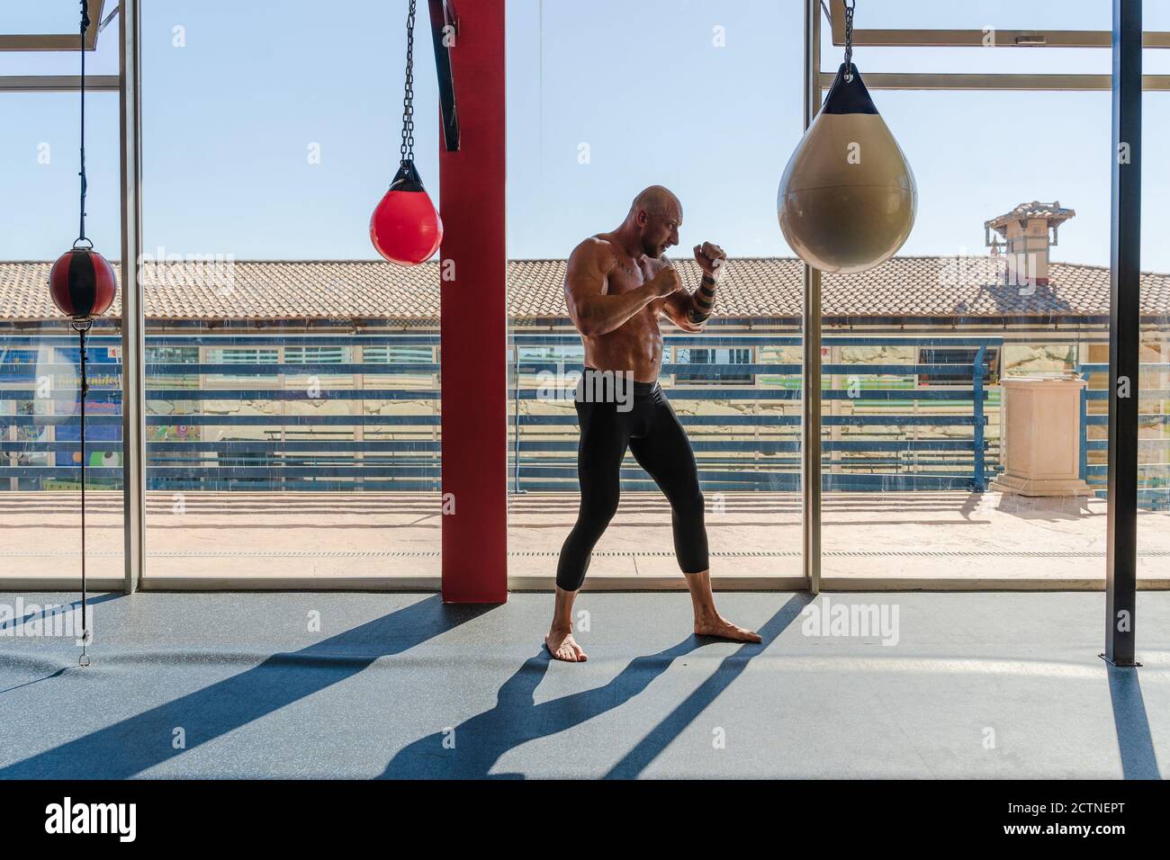 Side view of determined male boxer in boxing gloves punching heavy bag ...