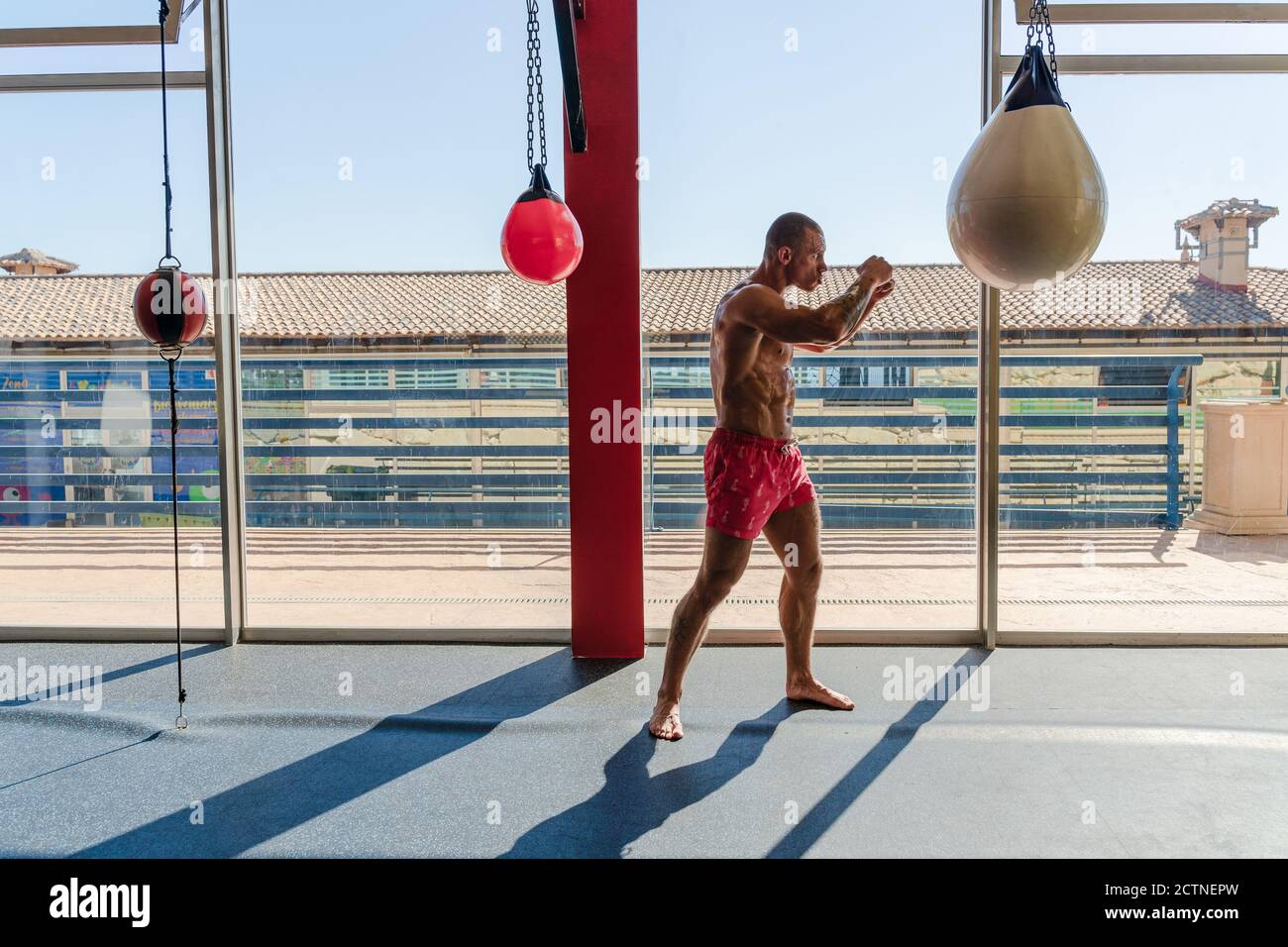 Side view of determined male boxer in boxing gloves punching heavy bag ...