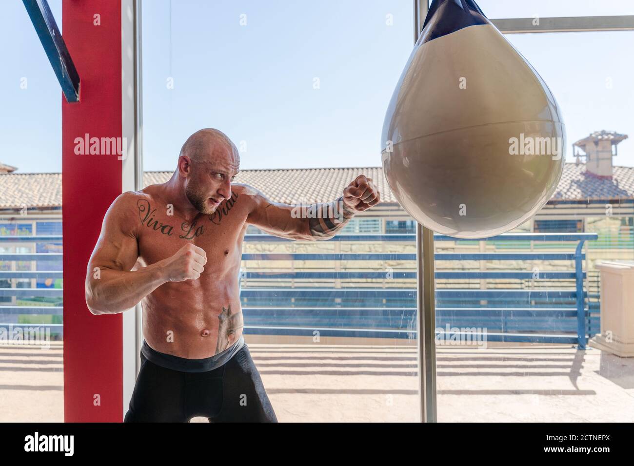 Side view of determined male boxer in boxing gloves punching heavy bag ...