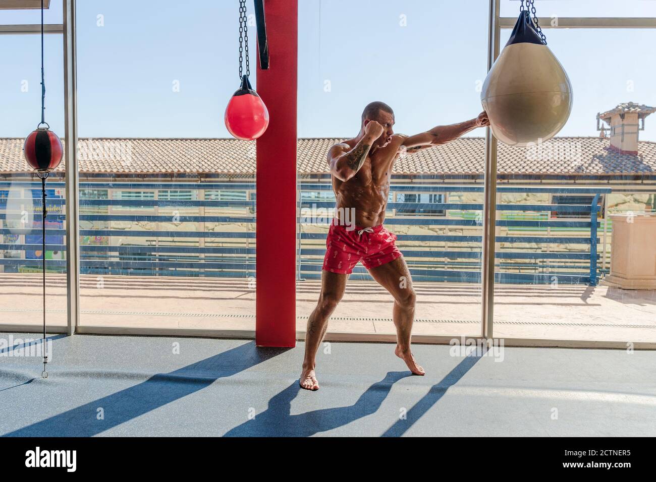 Side view of determined male boxer in boxing gloves punching heavy bag ...