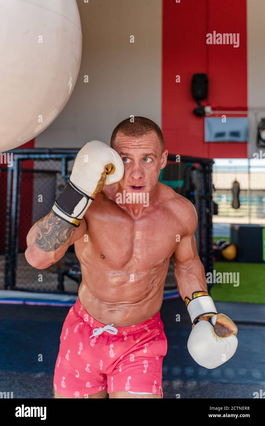 Punching bag workout hi-res stock photography and images - Alamy