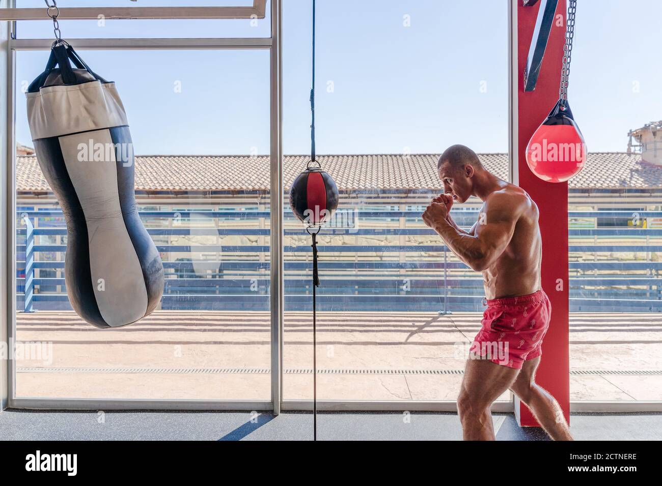 Side view of determined male boxer in boxing gloves punching heavy bag ...