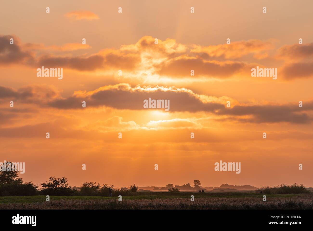 Rosenkranz family hi-res stock photography and images - Alamy