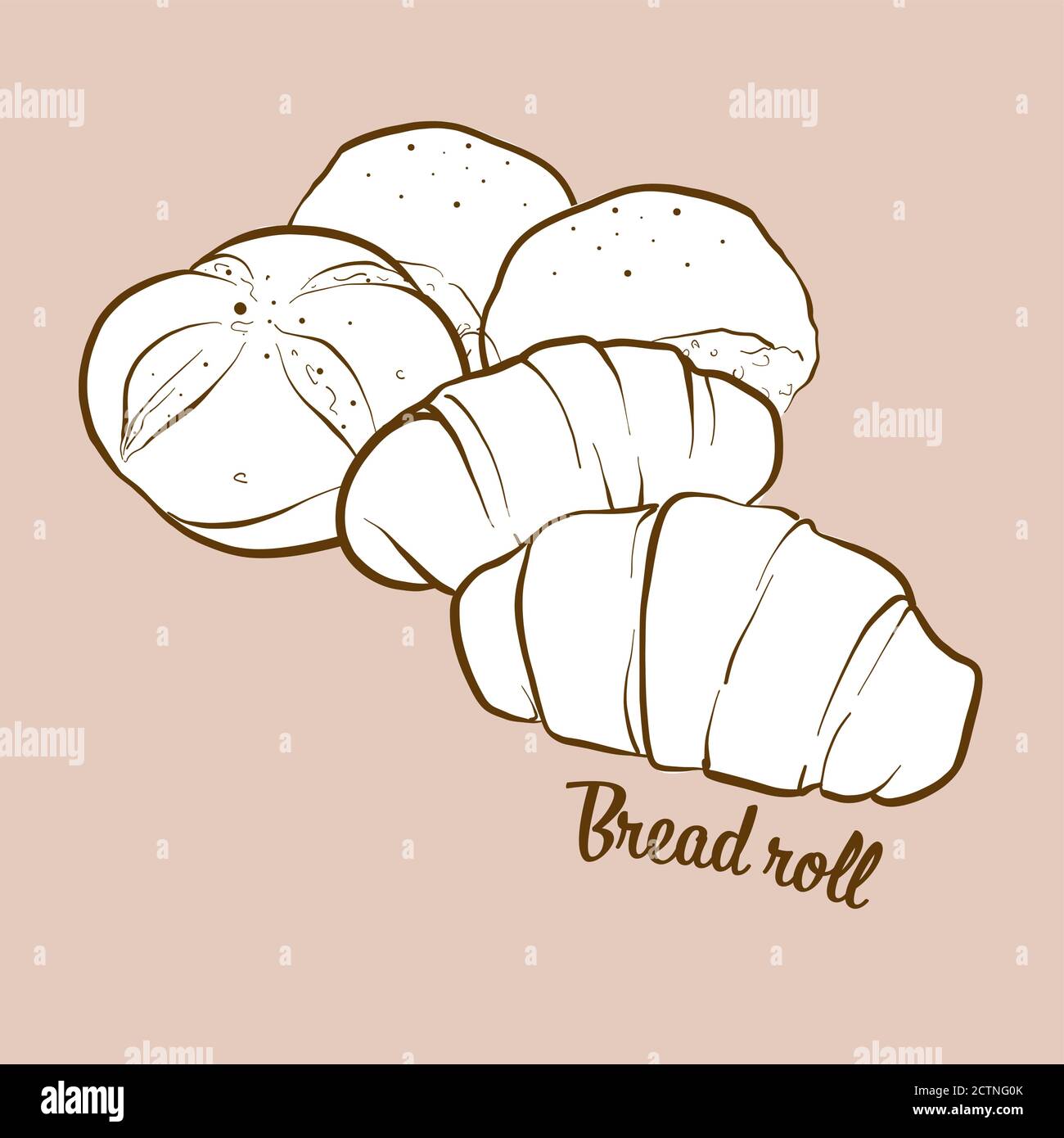 Hand-drawn Bread roll bread illustration. Bun, usually known in Europe ...