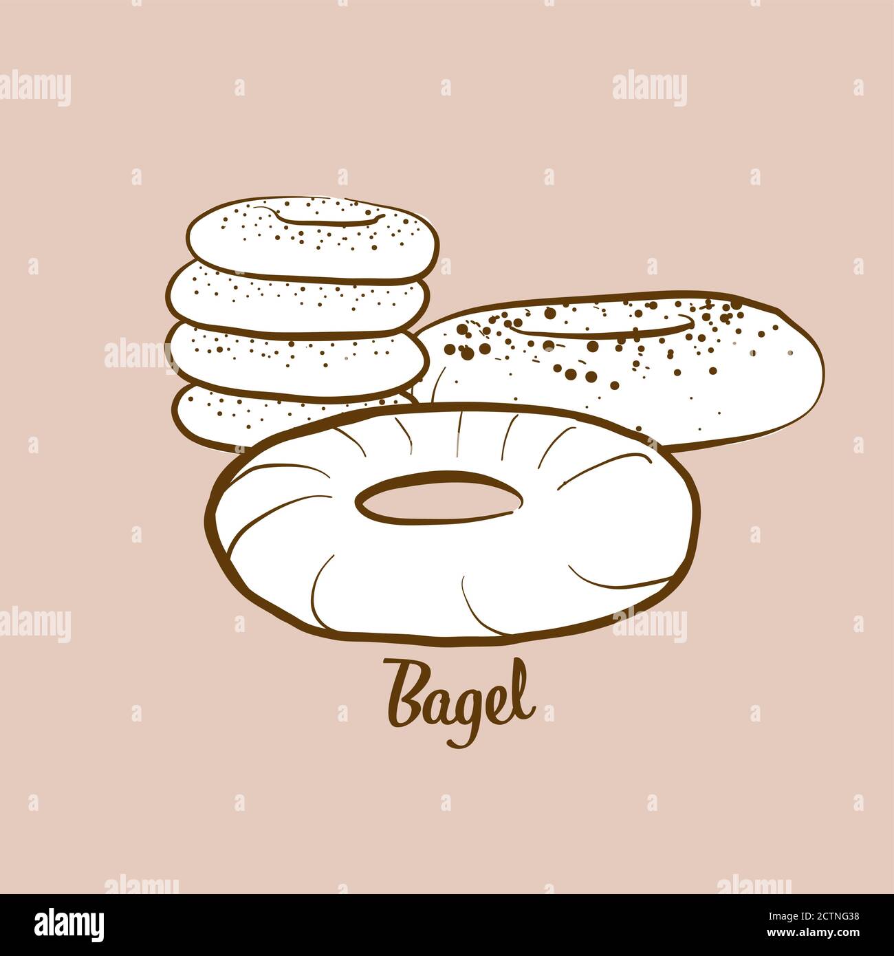 Hand-drawn Bagel bread illustration. Yeast bread, usually known in ...