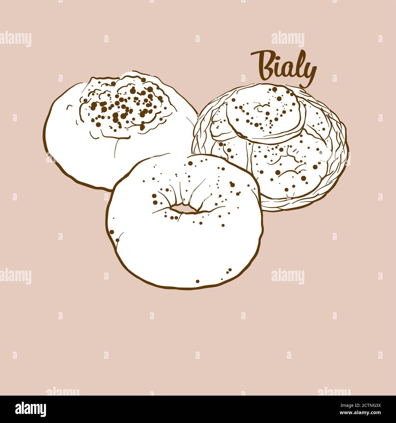 Hand-drawn Bialy bread illustration. Yeast bread, usually known in ...