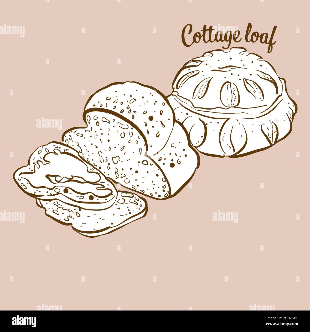 Hand-drawn Cottage loaf bread illustration. Yeast bread, usually known ...