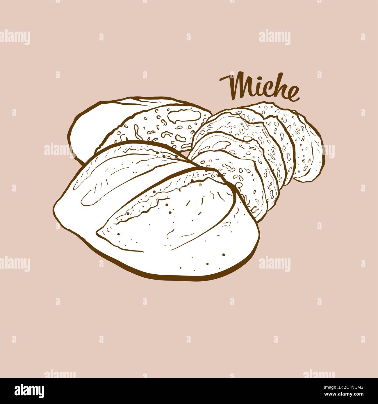 Sourdough bread round loaf Stock Vector Images - Alamy