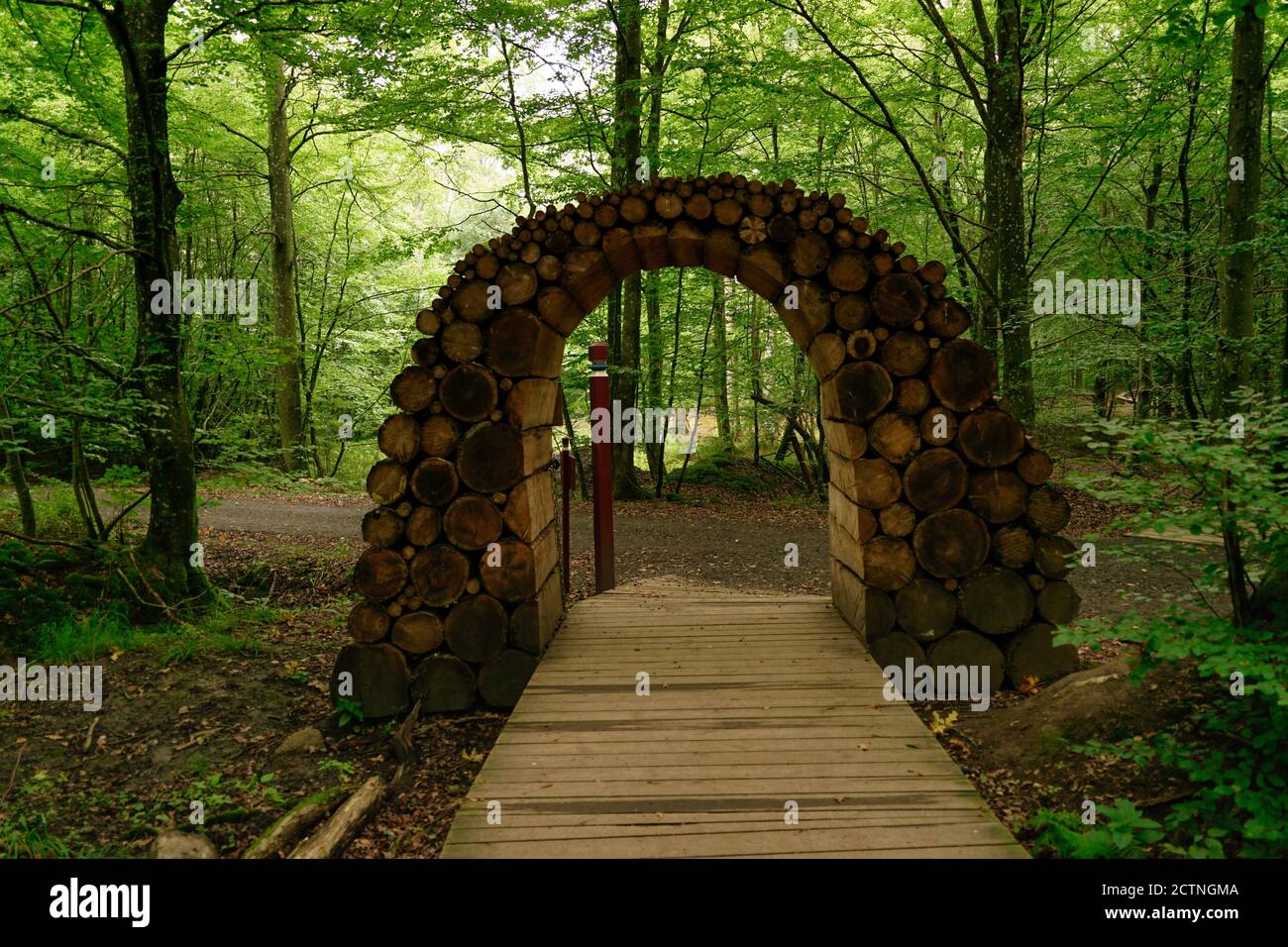 wooden gate over boardwalk in Adventure Camp, forest in background ...