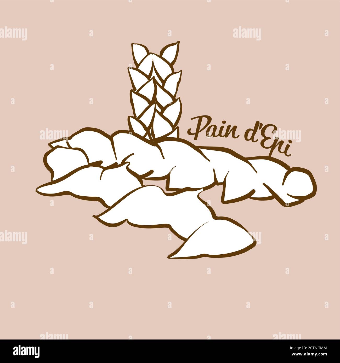 Hand-drawn Pain de Epi bread illustration. Yeast bread, usually known ...