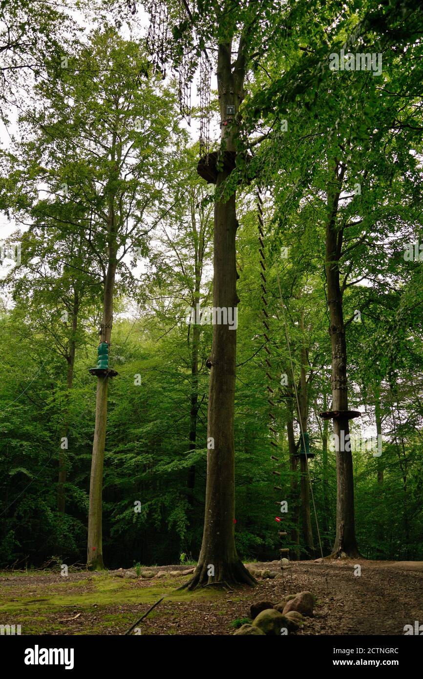 High rope course hi-res stock photography and images - Alamy
