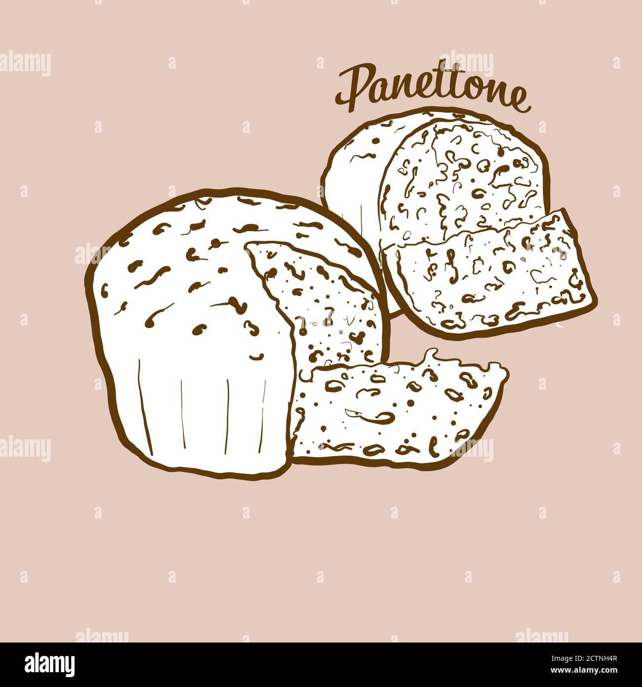 Hand-drawn Panettone bread illustration. Sweet bread, usually known in ...