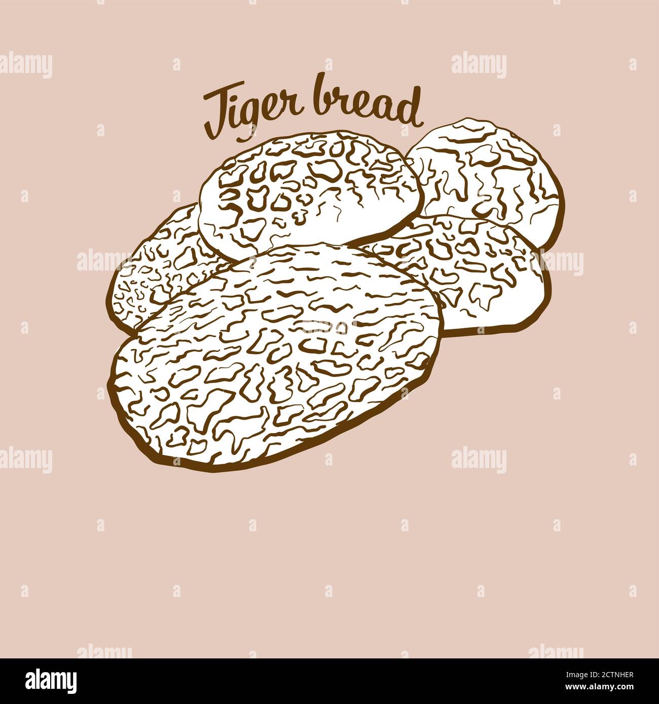Hand-drawn Tiger bread bread illustration. Rice bread, usually known in ...
