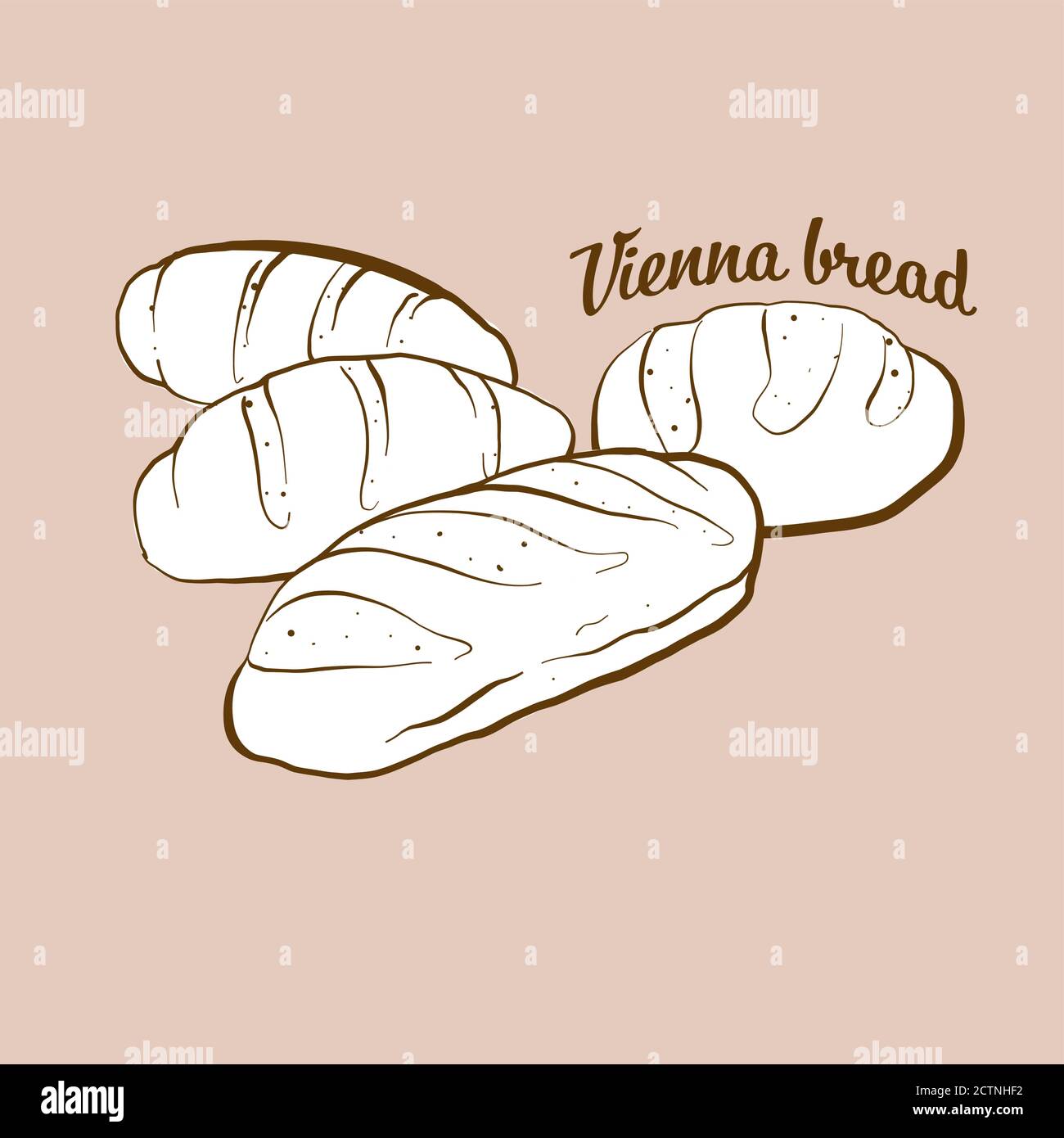 Hand-drawn Vienna bread bread illustration. Leavened, usually known in ...