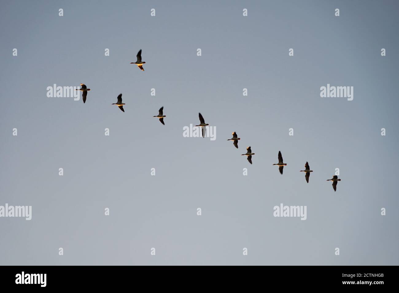 Flying closer hi-res stock photography and images - Alamy