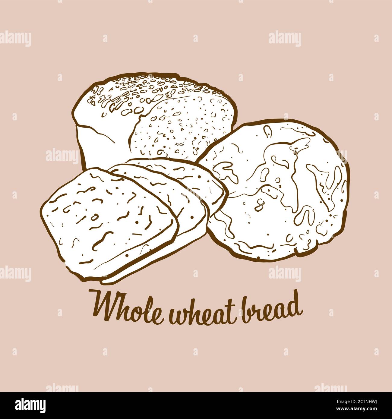 Hand-drawn Whole wheat bread bread illustration. Leavened, usually ...