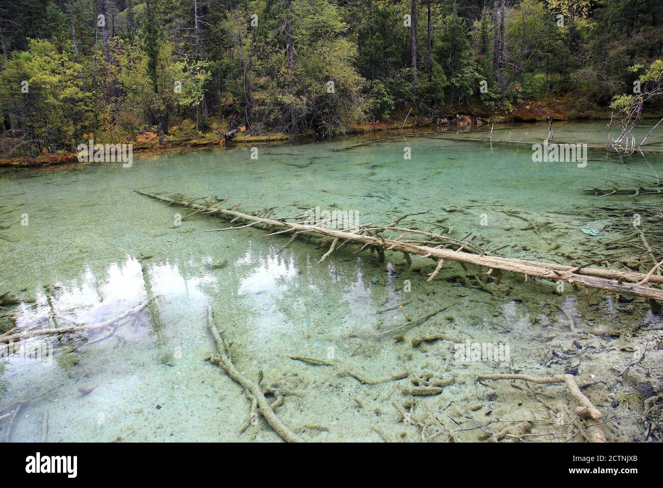 Sichuan Jiuzhaigou Fairy Pool Fairy Pool Stock Photo - Alamy