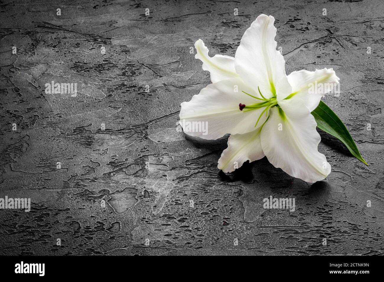 Condolence card with white flowers lily. Funeral symbol Stock Photo - Alamy