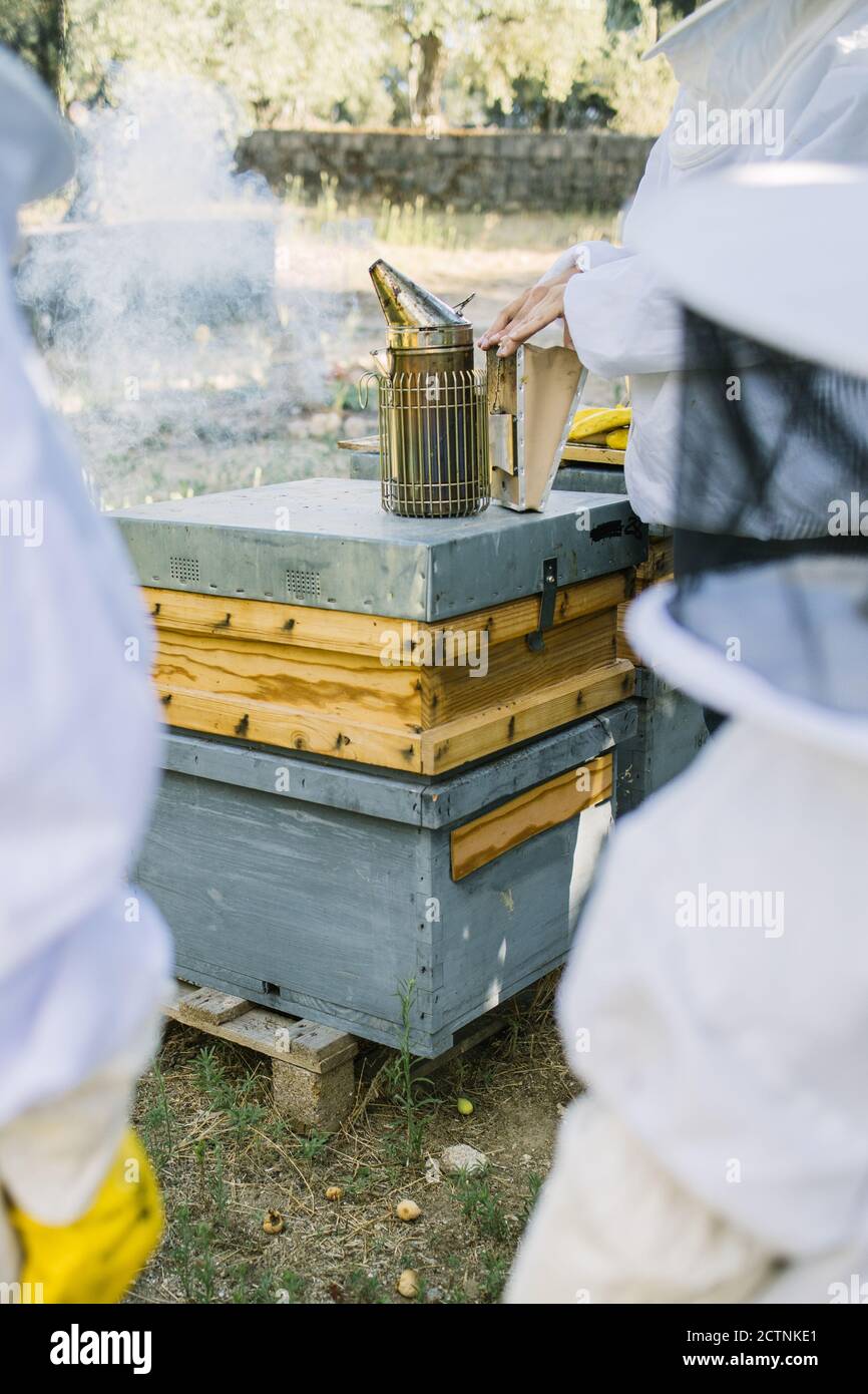 Beekeepers uniform hi-res stock photography and images - Alamy