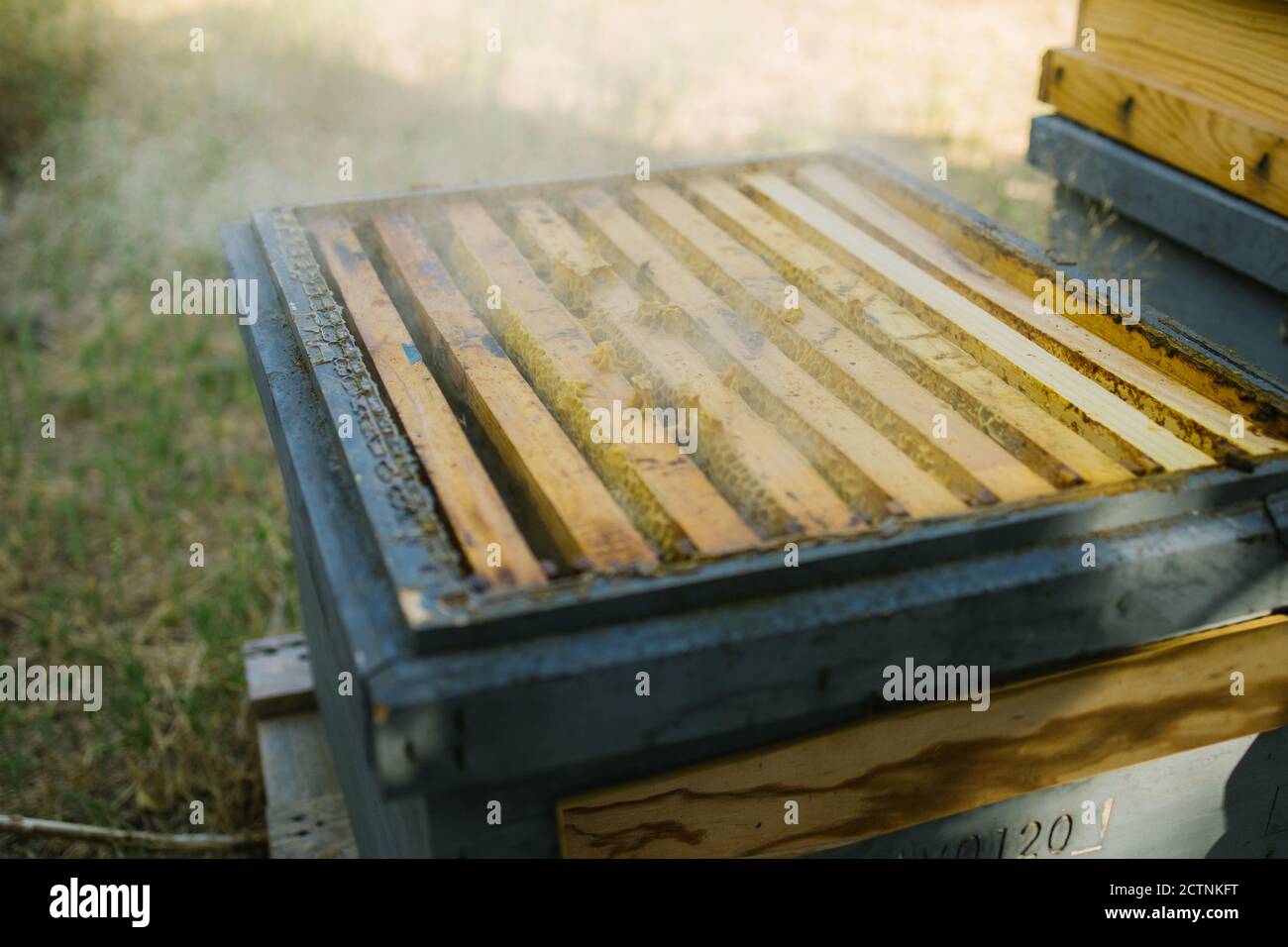 Beehive with honeycombs hi-res stock photography and images - Alamy
