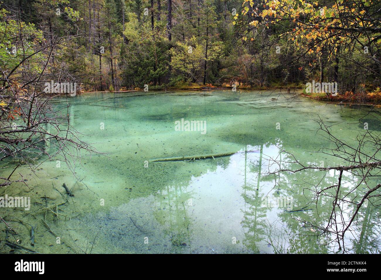Sichuan Jiuzhaigou Fairy Pool Fairy Pool Stock Photo - Alamy