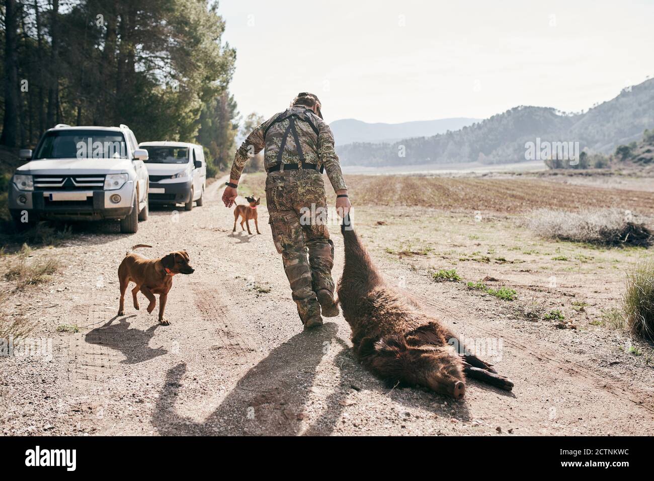 Dog dragging man hi-res stock photography and images - Alamy