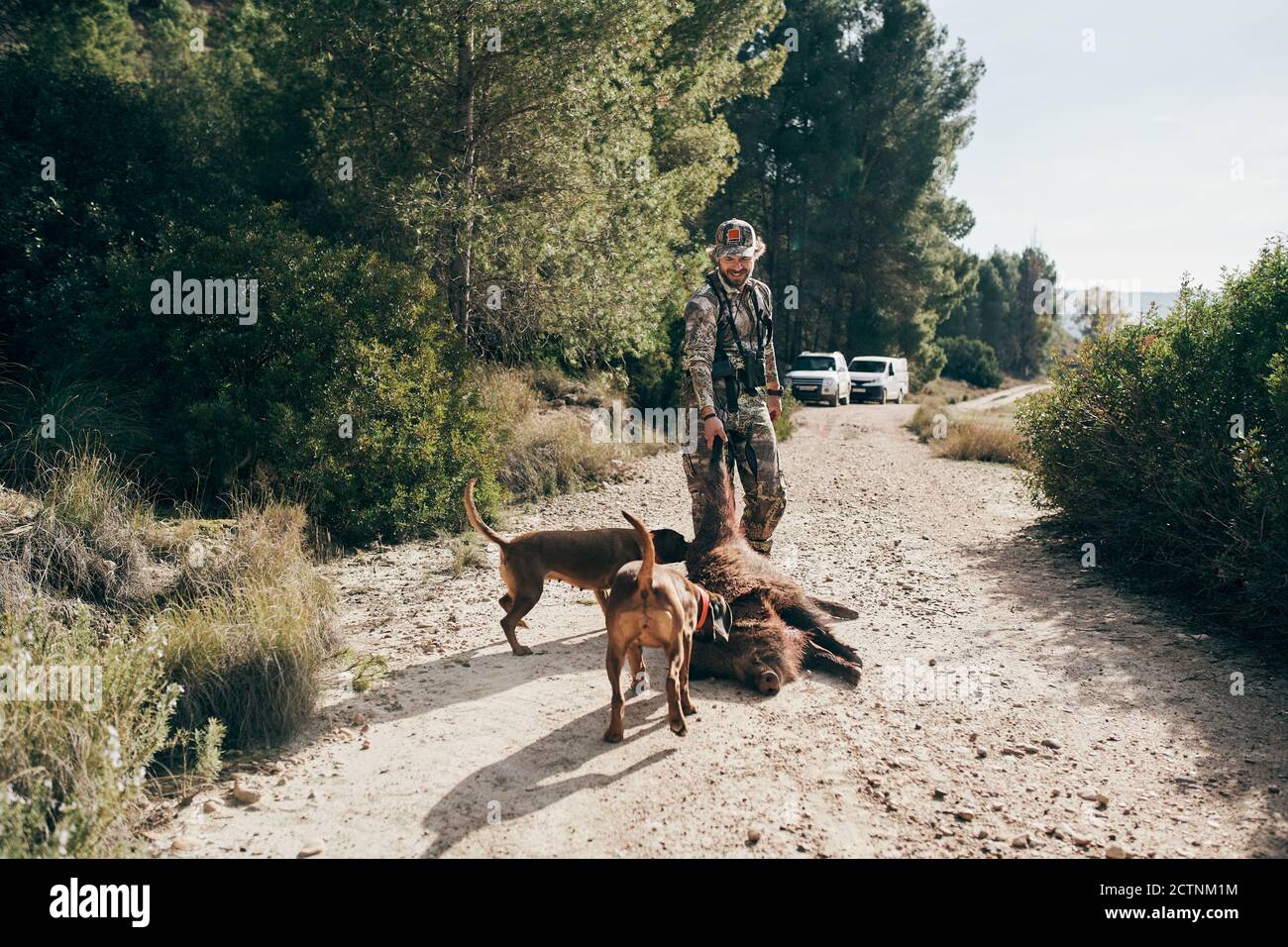 Happy proud man hunter in camouflage outfit dragging killed wild boar ...