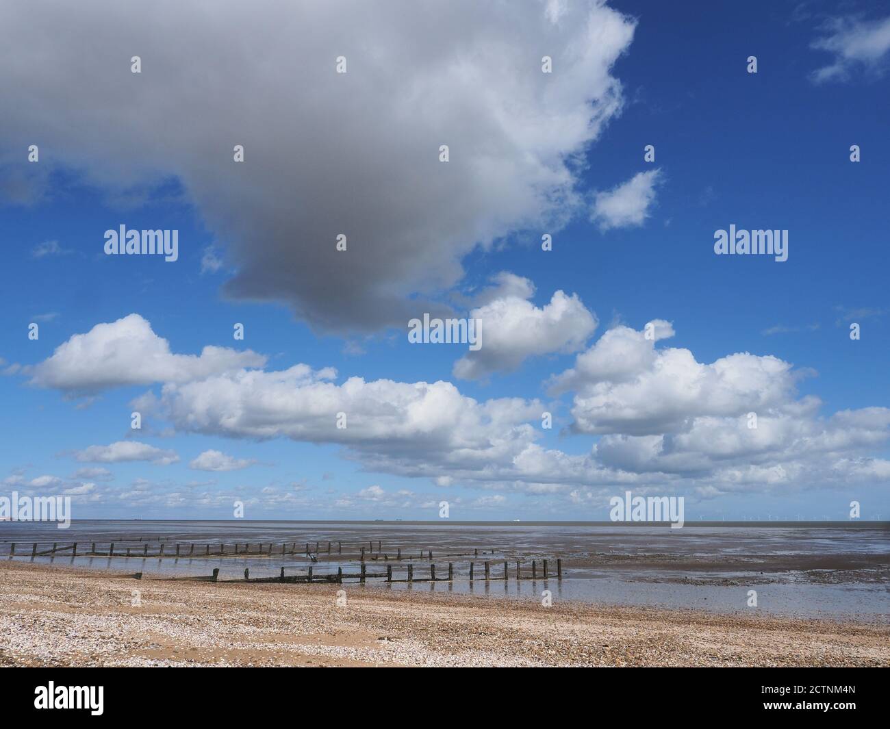 Shellness hi-res stock photography and images - Alamy