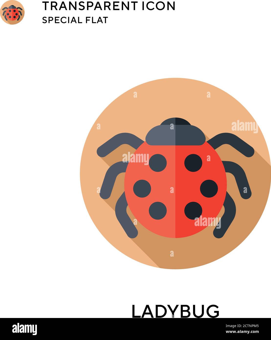 10 spot ladybug hi-res stock photography and images - Alamy