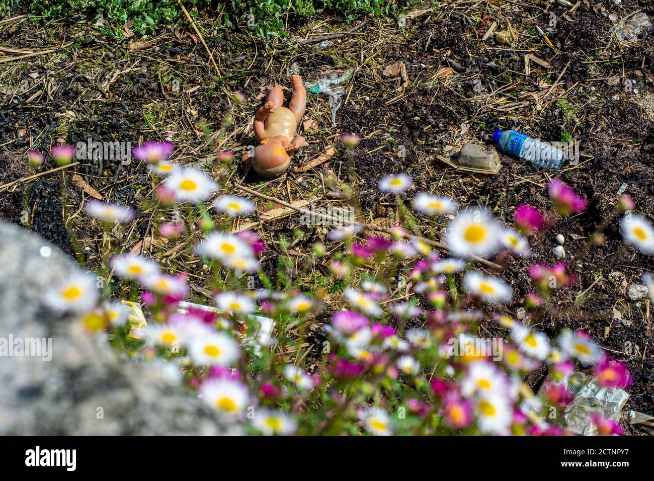 flowers that adorn pollution and human waste Stock Photo - Alamy